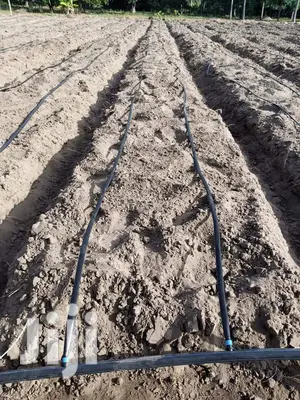 Irrigation Farm Machinery & Equipment for sale in Ghana Prices on Jiji ...