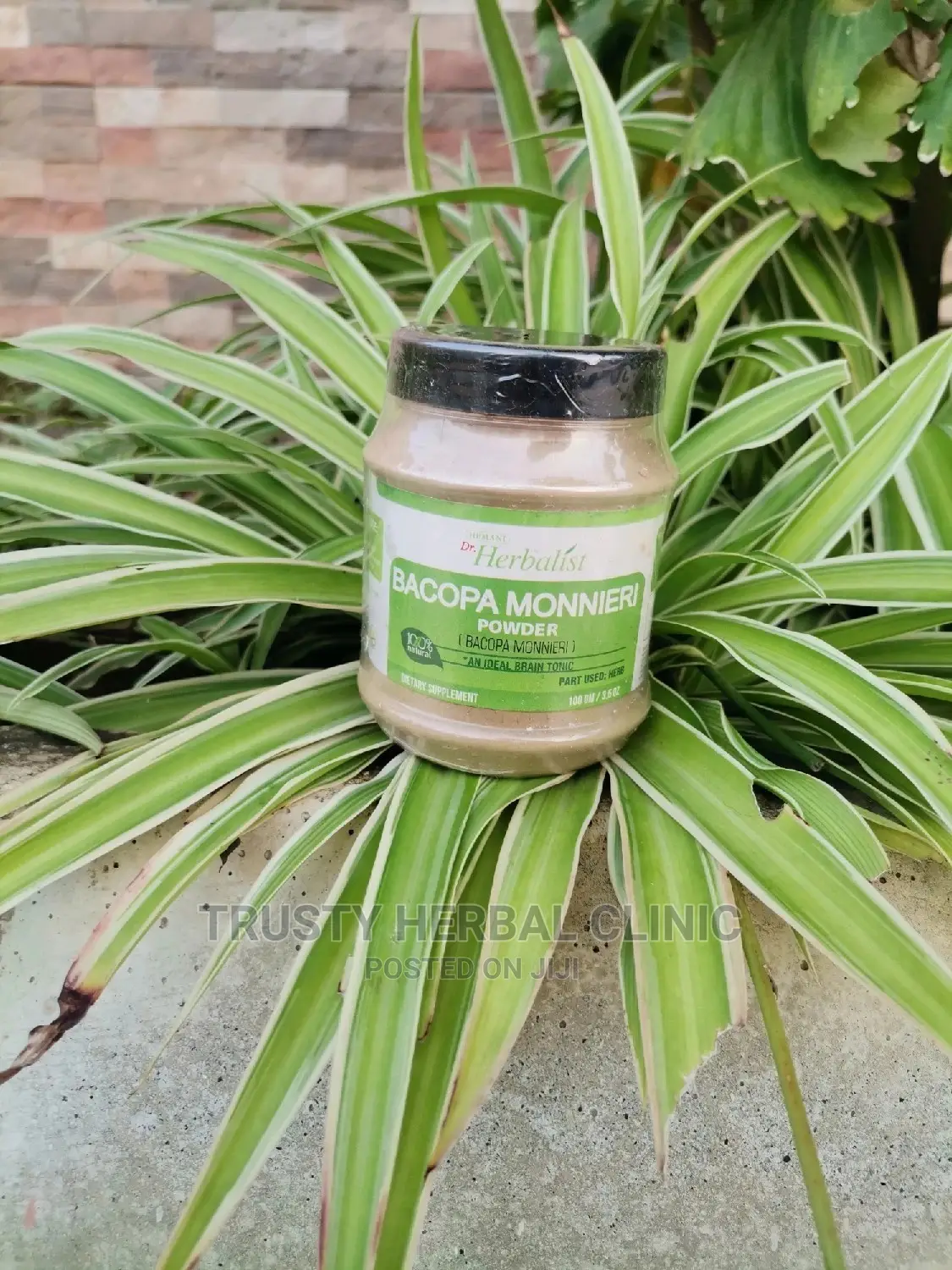 Bacopa Monnieri (Brahmi).(Brain Memory Booster) in Accra Metropolitan ...