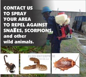 Snake And Scorpion Fumigation in Oyibi - Cleaning Services, Pest Beldo ...