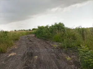 Farmland for Sale in Greater Accra Prices in April 2025 on Jiji.com.gh