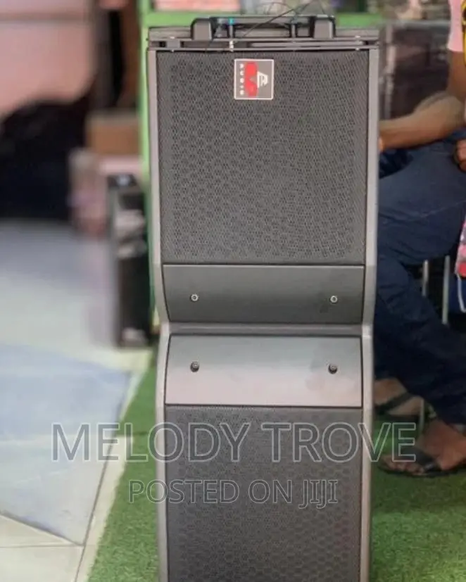 Evp Audio 10" Line Array Speaker in Accra Metropolitan - Audio & Music ...