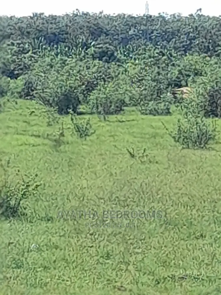 3plot of Land for Sale at Akuse in Lower Manya Krobo - Land & Plots for ...