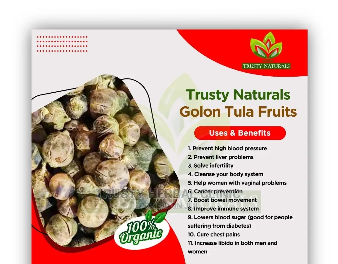 Goron Tula Fruit 10 Pieces(Silky Kola,Snot Apple,Azanza) in Accra ...