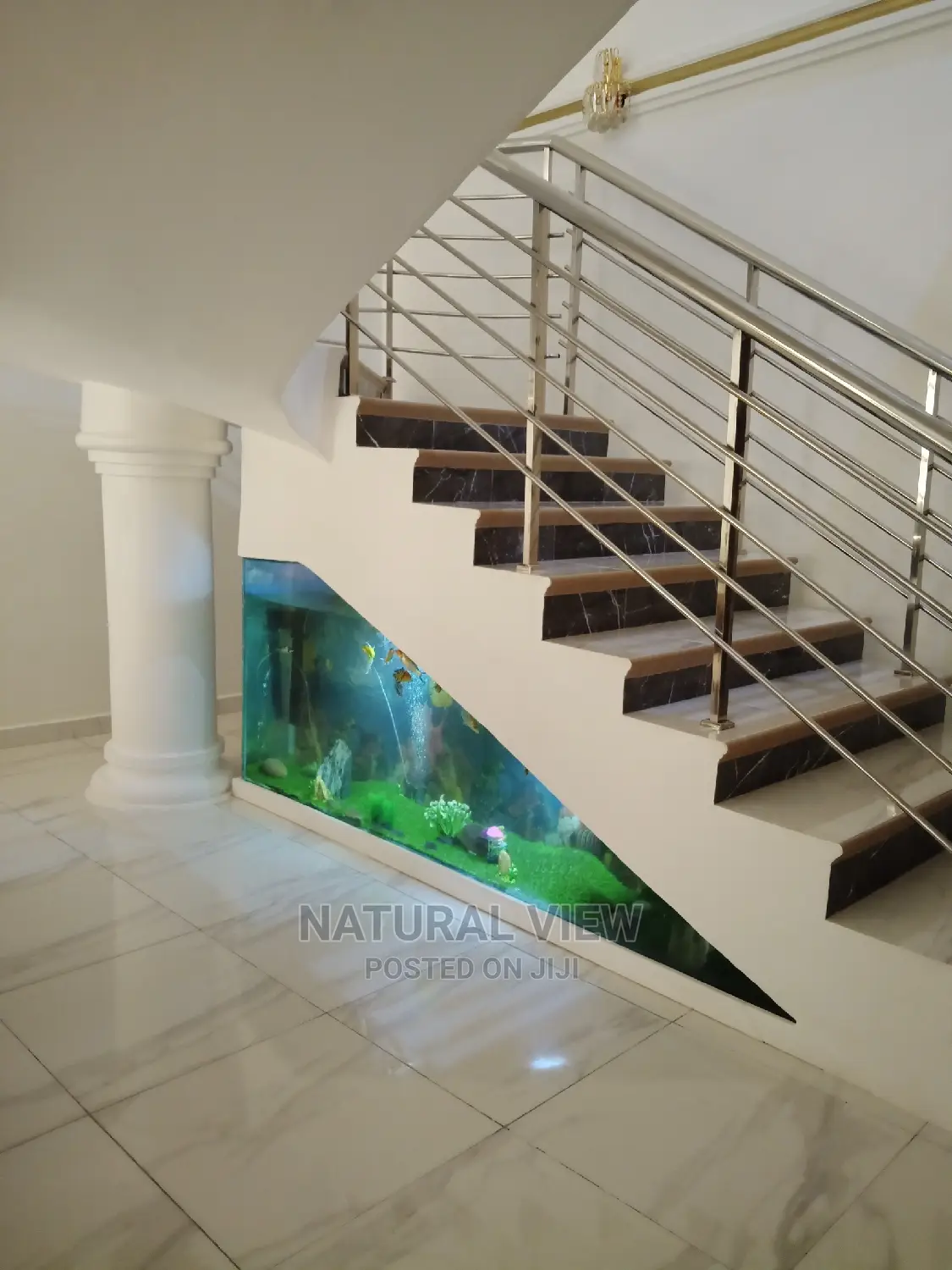 Aquarium Under Stairs in Accra Metropolitan - Fish, Natural View ...