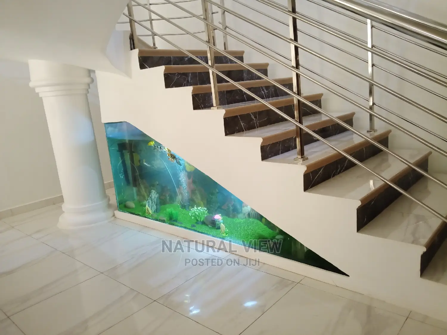 Aquarium Under Stairs in Accra Metropolitan - Fish, Natural View ...