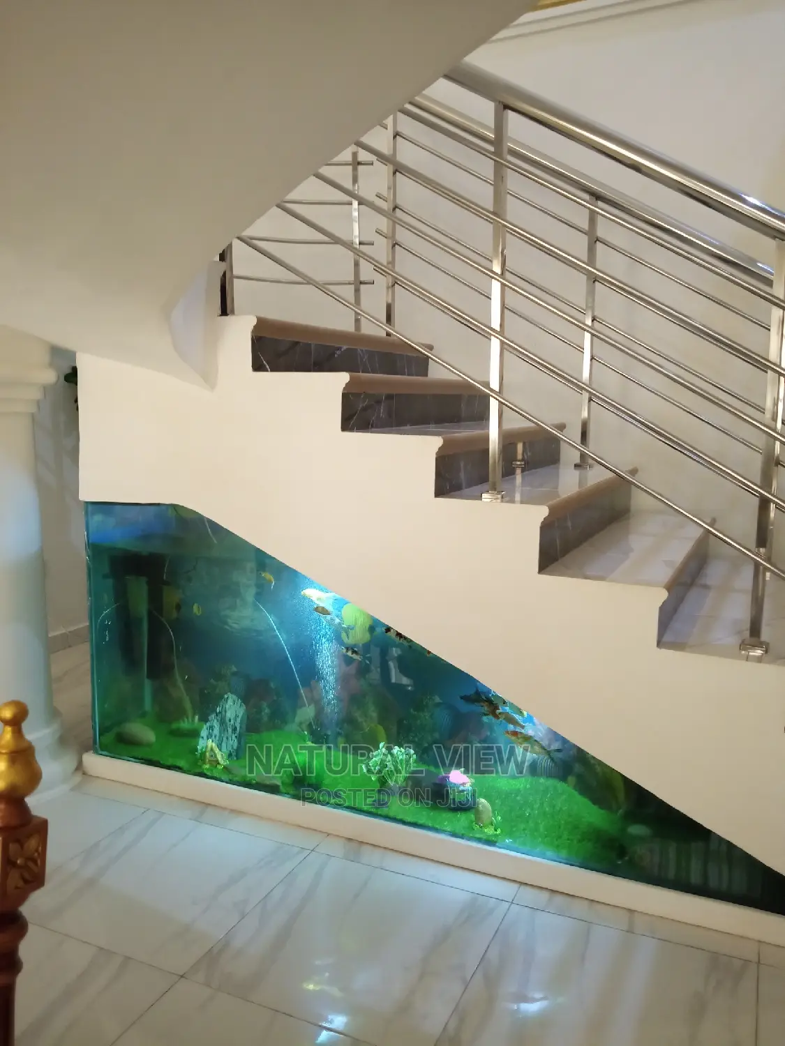 Aquarium Under Stairs in Accra Metropolitan - Fish, Natural View ...