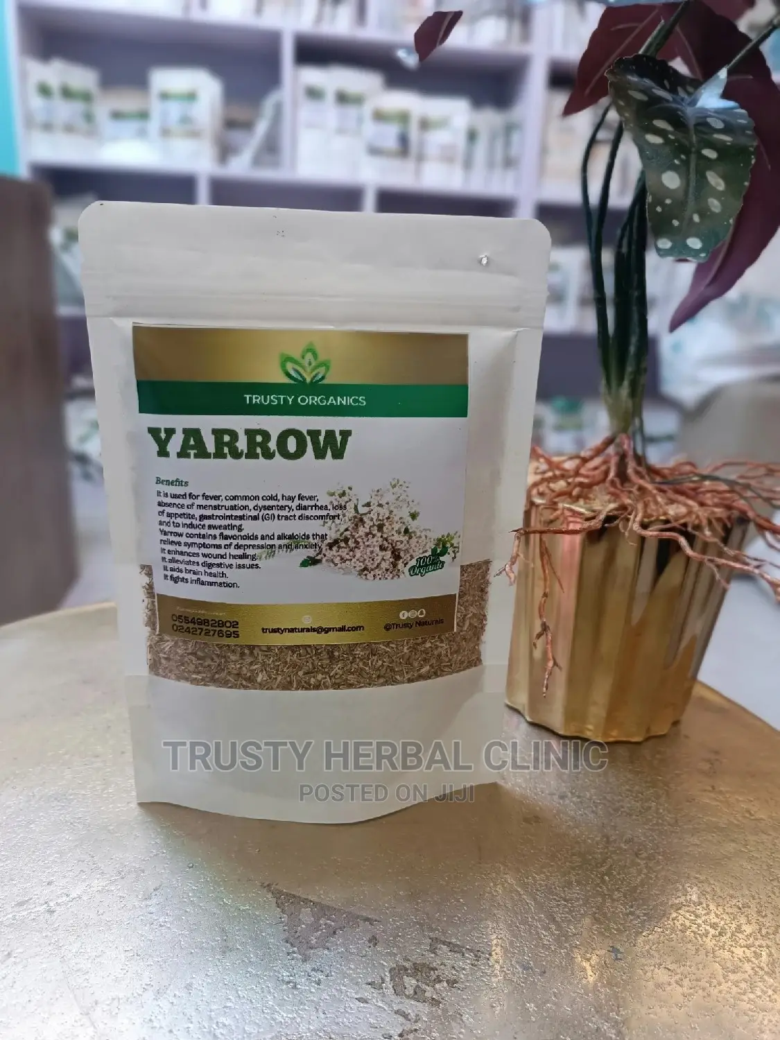 Organic Yarrow Herb (Brain N Eye Health) in Accra Metropolitan ...