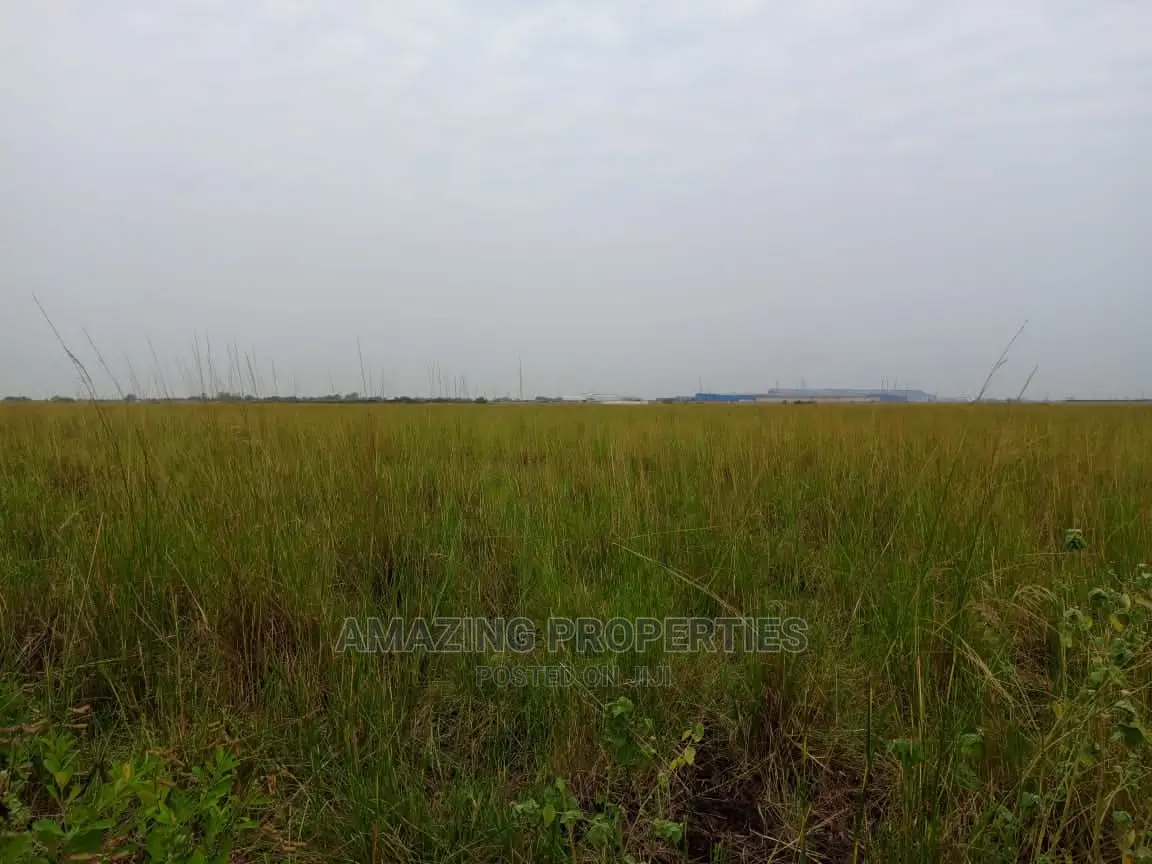 3000 Acres of Farm Land at Juapong in Asuogyaman - Land & Plots for ...