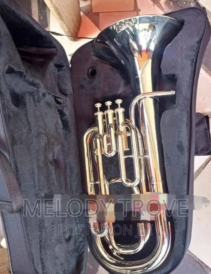 Baritone/Piston Valve Style Silver in Accra Metropolitan - Musical ...