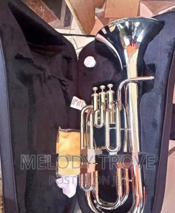 Baritone/Piston Valve Style Silver in Accra Metropolitan - Musical ...