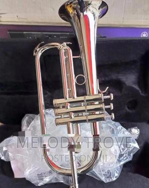 Flugel Horn in Accra Metropolitan - Musical Instruments & Gear, Titanic ...