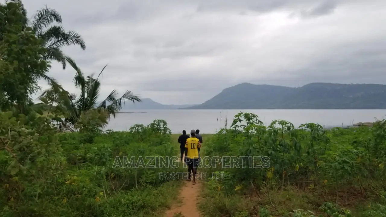 5000 Acres of Land at Juapong in Asuogyaman - Land & Plots for Sale ...