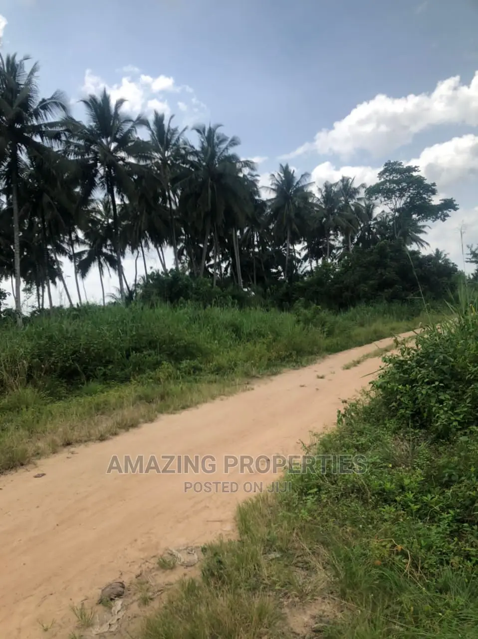 8000 Acres of Land at Asamankese in East Akim Municipal - Land & Plots ...