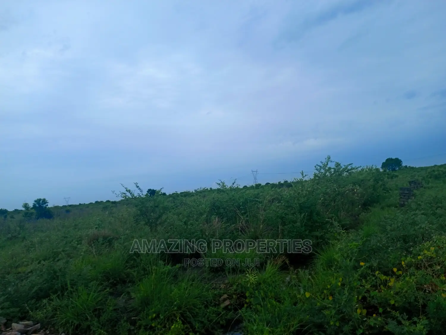 6,000 Acres of Farmland for Sale at Asamankese Quarshie in East Akim ...