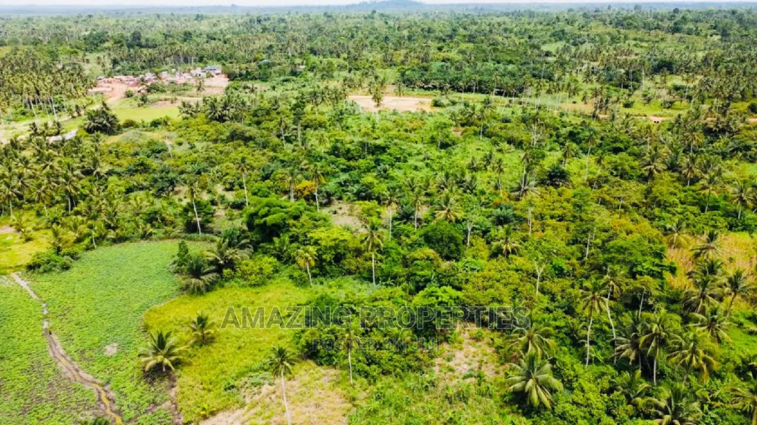 150 Acres of Land at Esusu in Agona East - Land & Plots for Sale ...