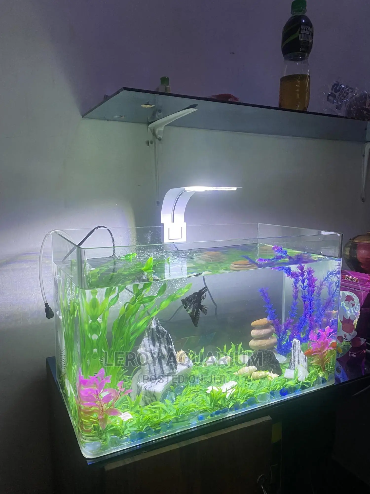 50cm Aquarium With Fish in Kumasi Metropolitan - Fish, Leroy Aquarium ...