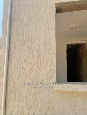 Jeorkpana Graffiato Texture Paint in Adenta - Building Materials, Obed ...