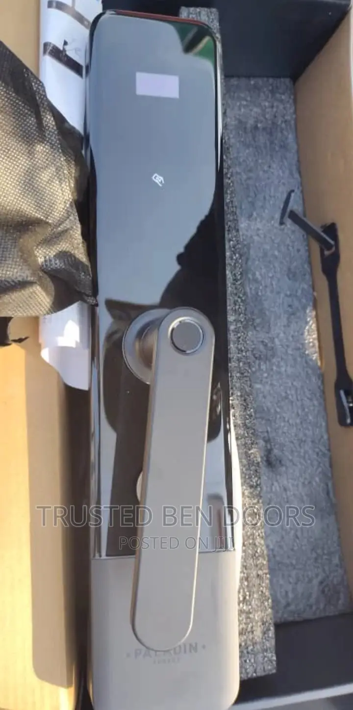 Biometric Turkish Paladin Smart Door Locks in Accra Metropolitan ...