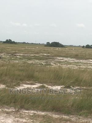 Get Your Litigation Free Lands From Us Today in Old Ningo - Land ...