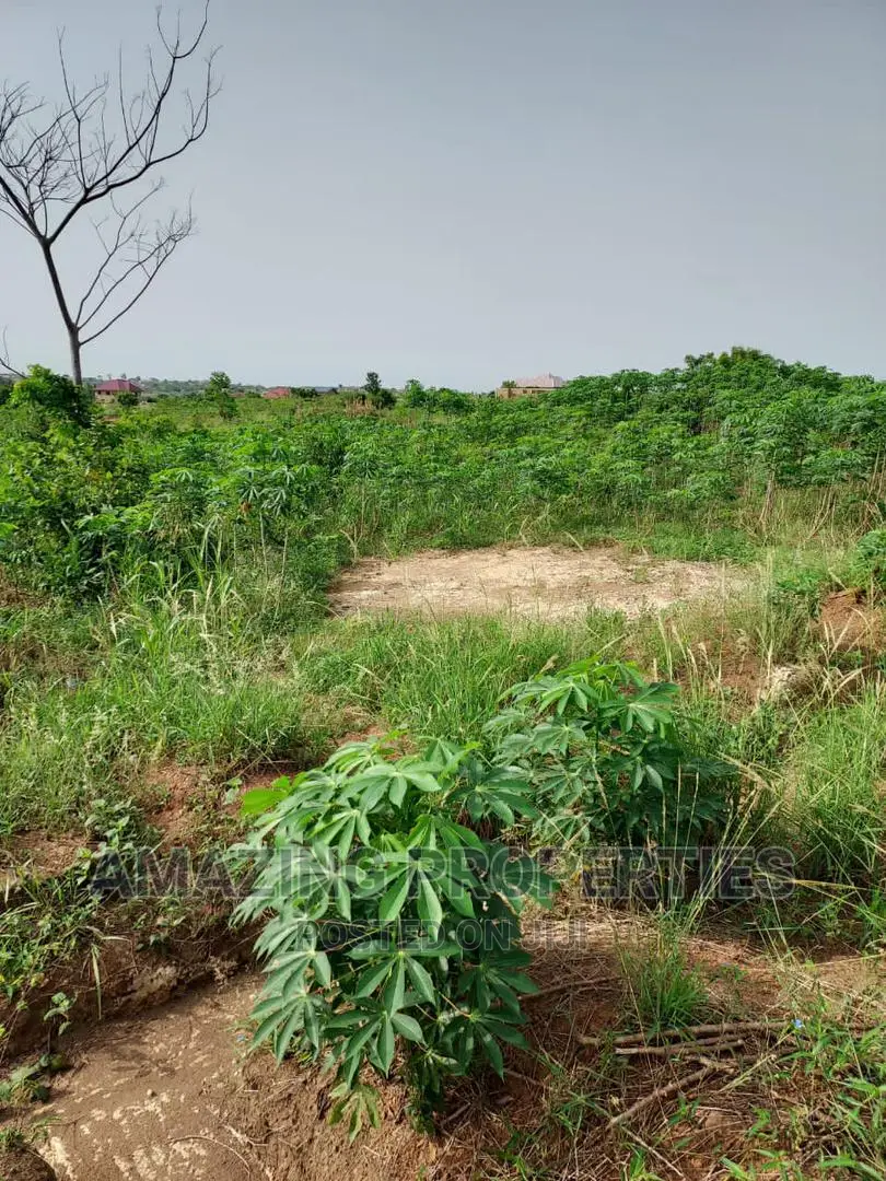 50 Acres of Land for Sale at Juapong in Asuogyaman - Land & Plots for ...