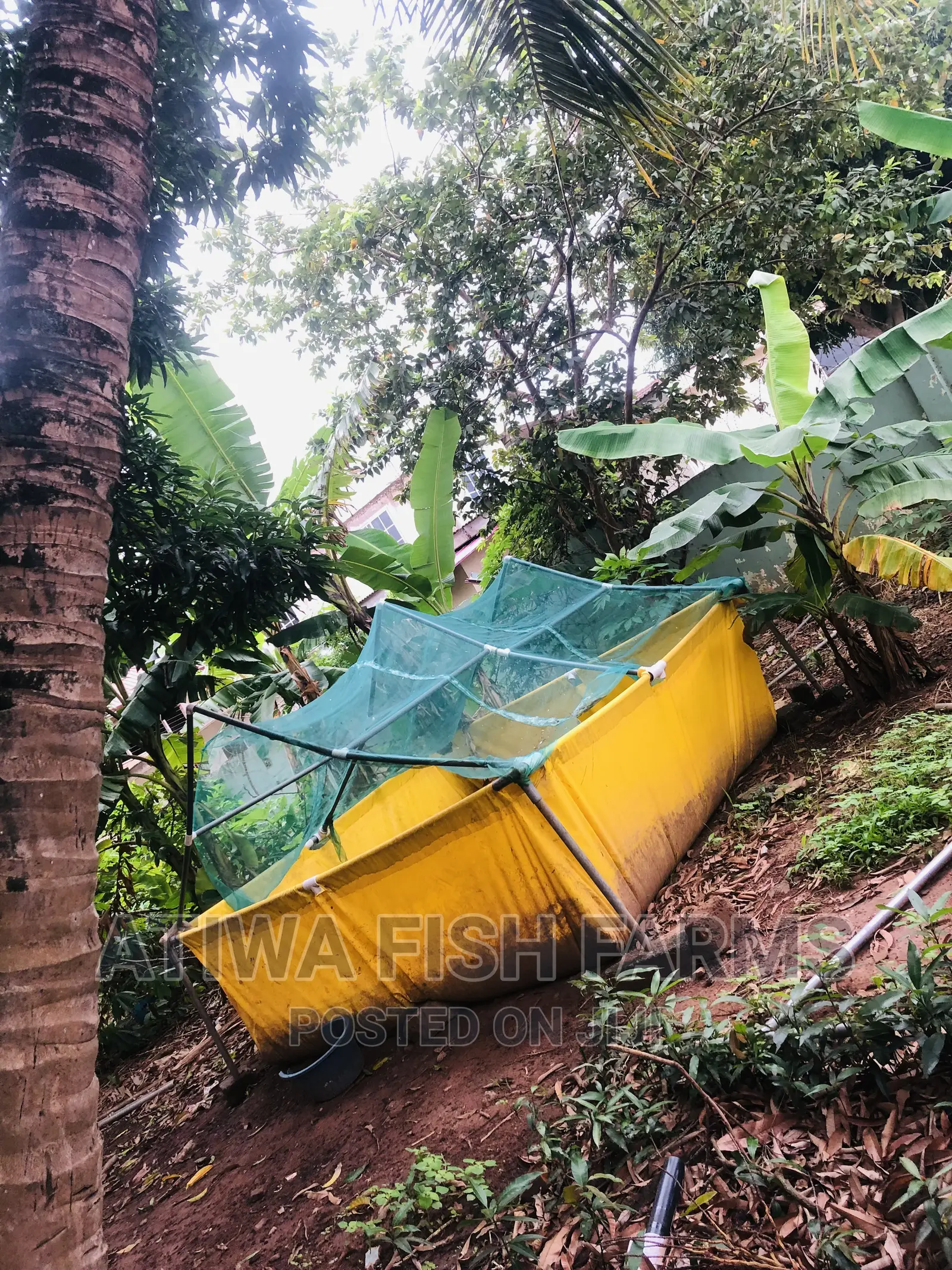 Tarpaulin Tank and Net Canopy Cover in Lapaz - Farm Machinery ...