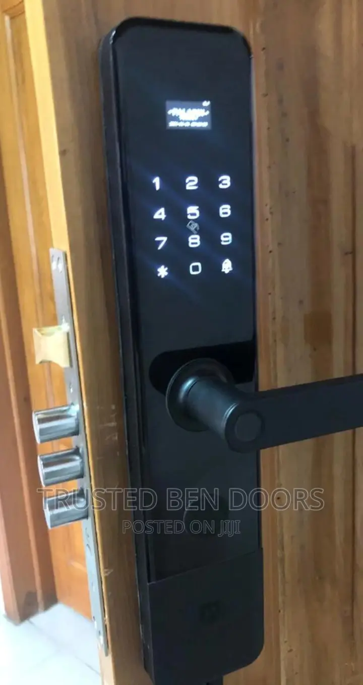 Latest Turkish Paladin Biometric Door Locks for All Doors in Accra ...