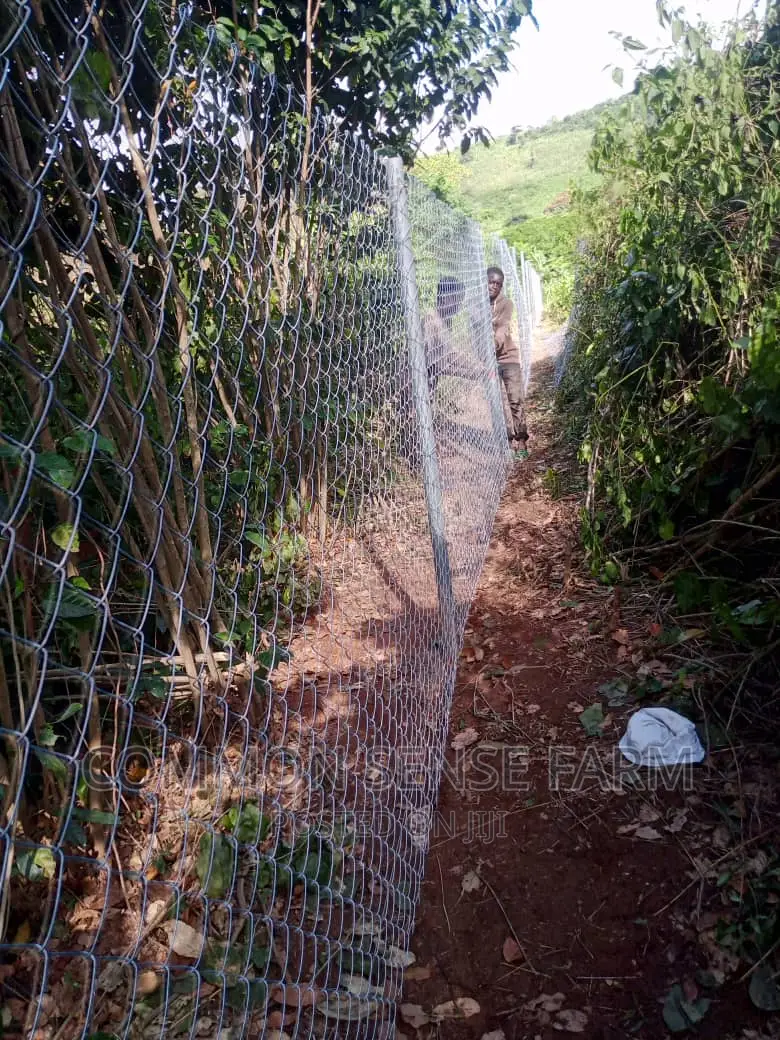 40ft Chain Link Fencing in Accra Metropolitan - Building & Trade ...