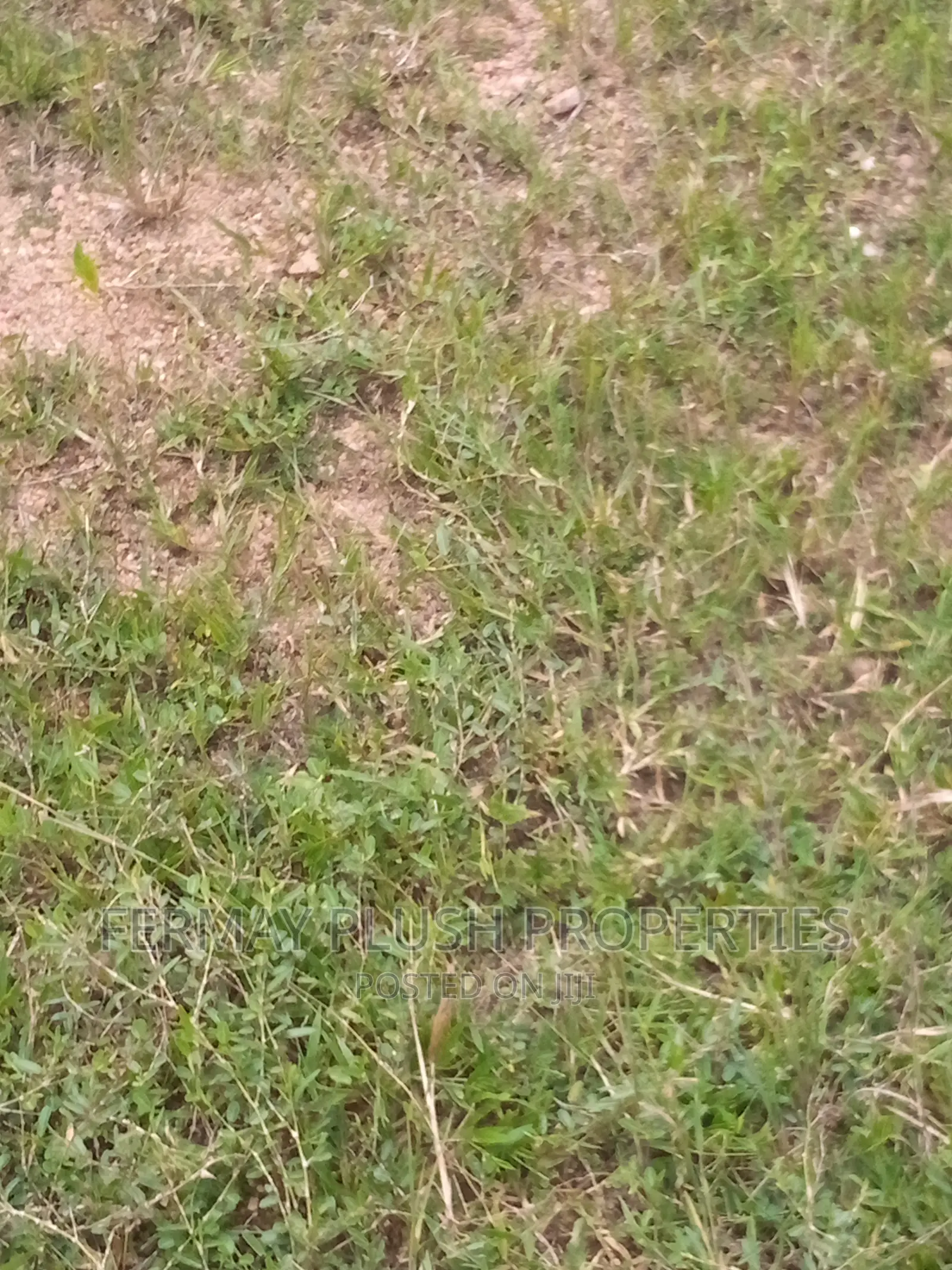 Mining Land Available for JOINT VENTURE in East Akim Municipal - Land ...