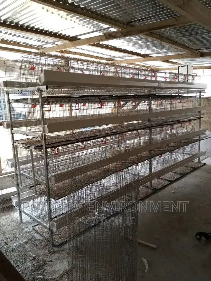 Battery Cage(Layers Cage) in Kasoa - Farm Machinery & Equipment, Prince Anim | Jiji.com.gh