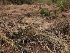 20 Acres of Land,Walled and Gated Tema, in Tema Metropolitan - Land ...