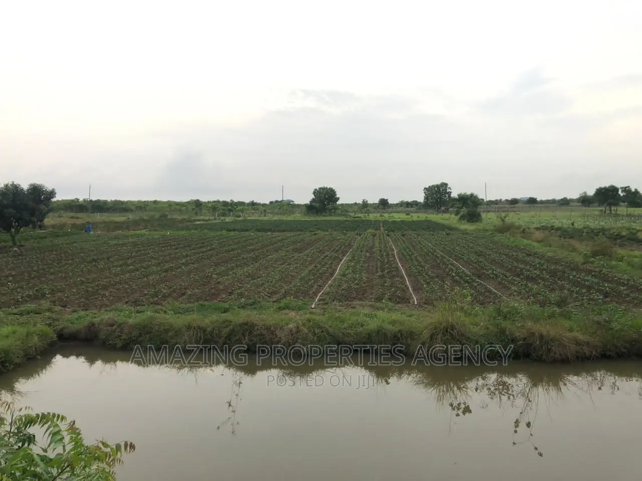 40000 Acres of Farmland at Juapong in North Tongu - Land & Plots for ...