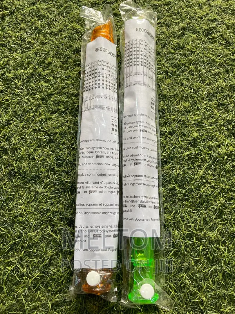 Plastic Recorder Flute in Accra Metropolitan - Musical Instruments ...