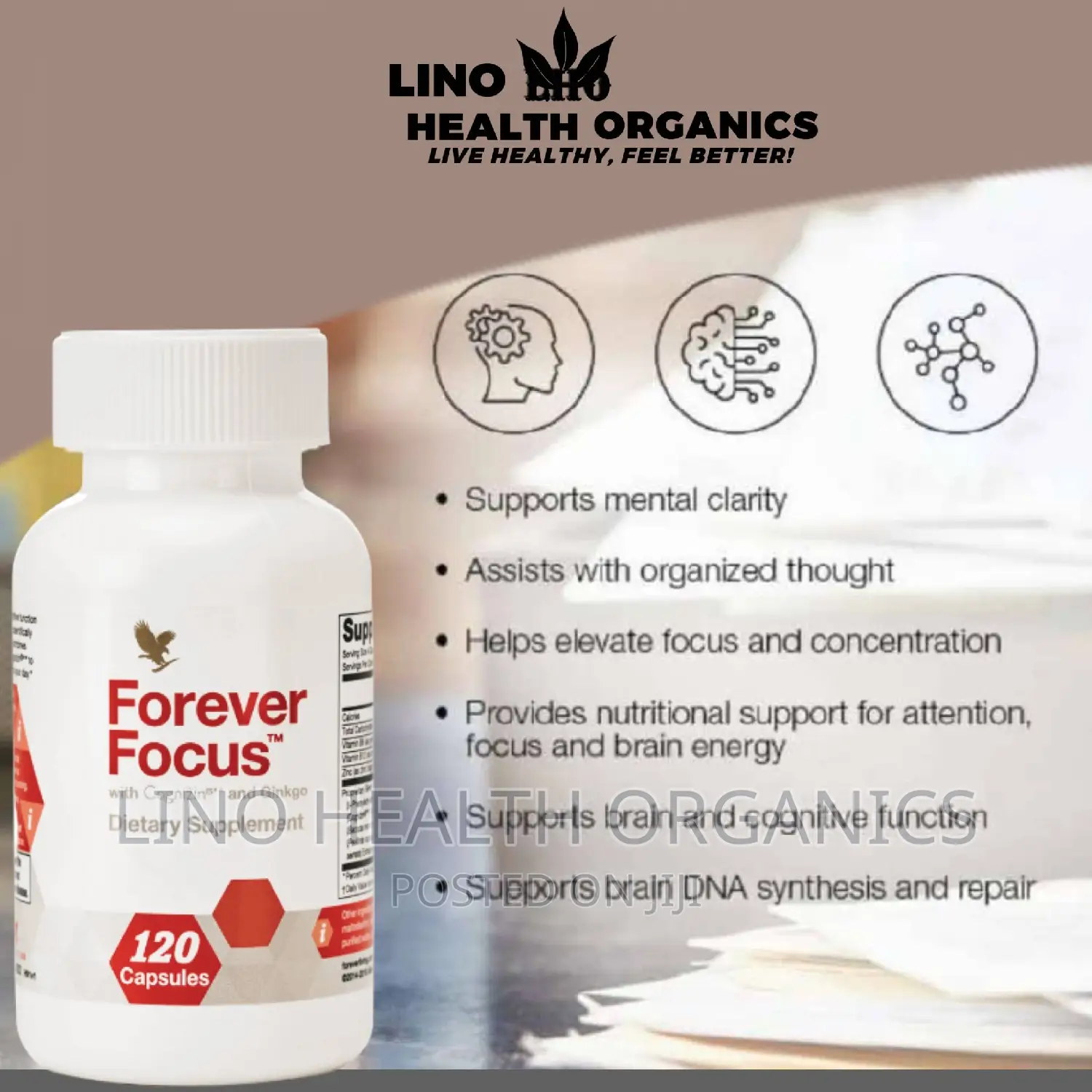 Best Brain and Cognitive Function Supplement / Forever Focus in Airport ...