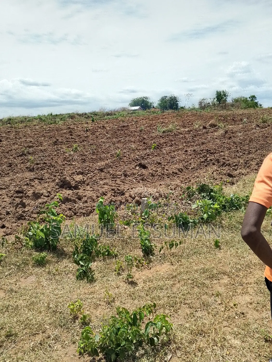 Bawjiase, Kweikrom,Akoti Akramang in Awutu Senya East Municipal - Land ...