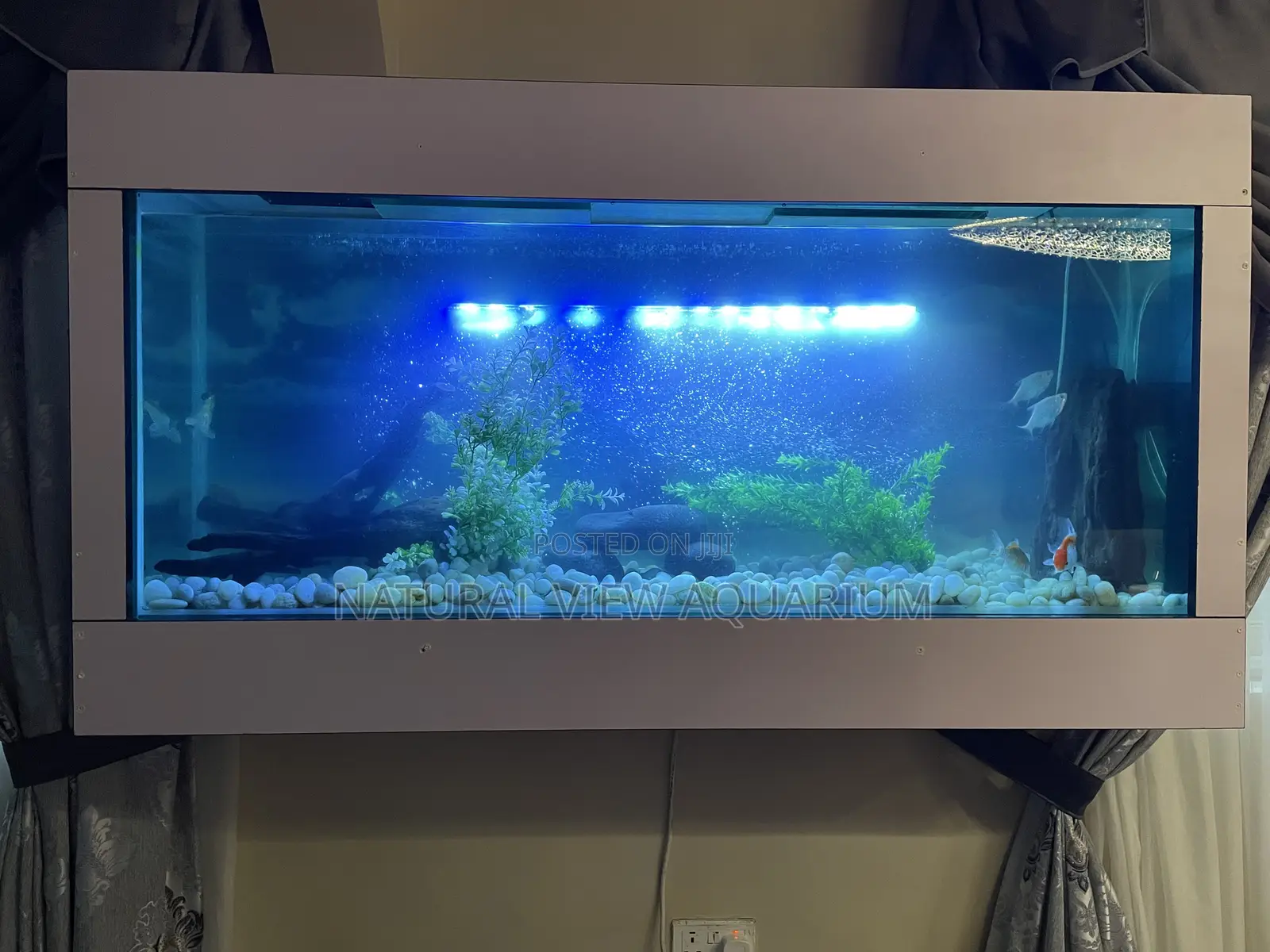 Wall Mount Aquarium in Accra Metropolitan - Fish, Natural View Aquarium ...