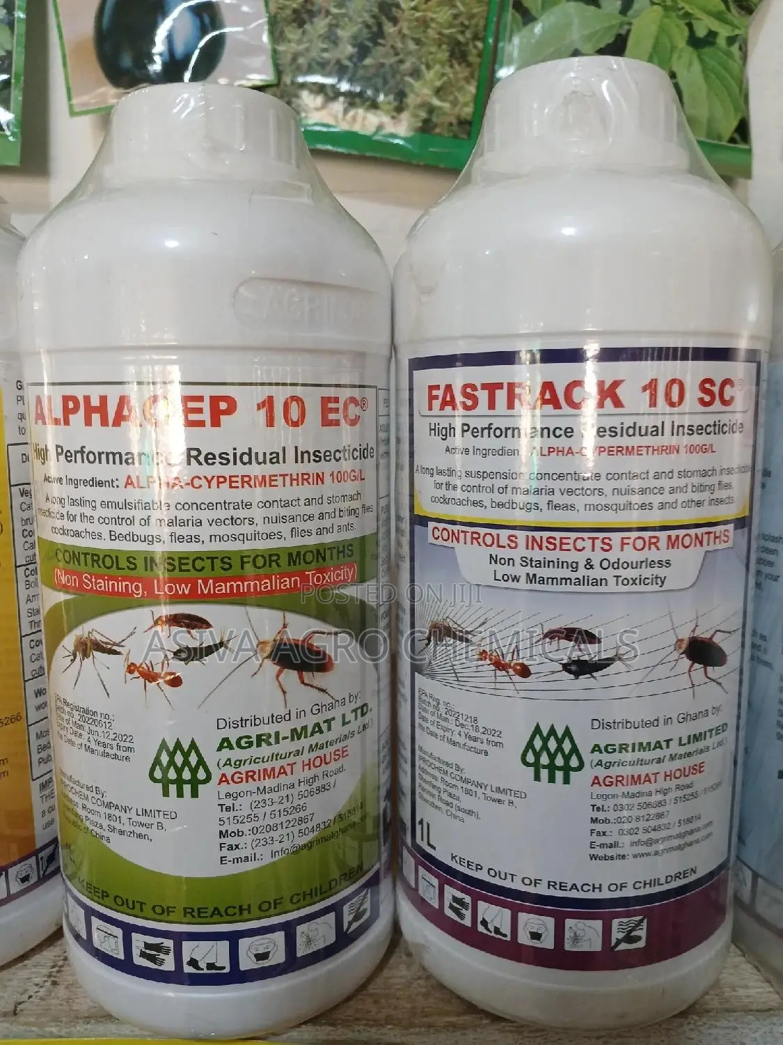 Fastrack/Alphacep/Plan-D/Sunpyrifos/Sun-Optimal/Insecticide in Adenta ...