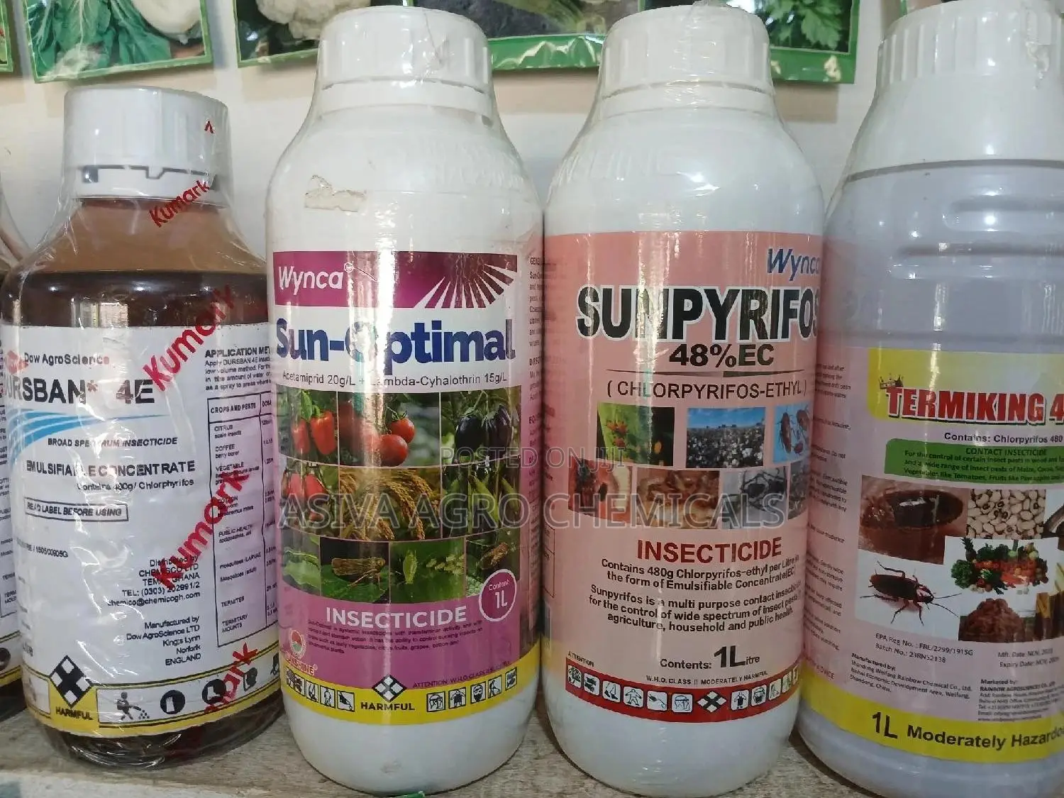 Fastrack/Alphacep/Plan-D/Sunpyrifos/Sun-Optimal/Insecticide in Adenta ...