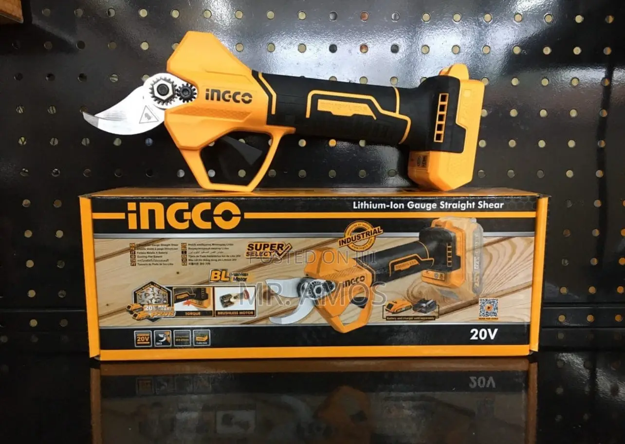 Ingco Brushless Lithium-Lon Gauge Straight Shear- CSSLI20258 in Accra ...