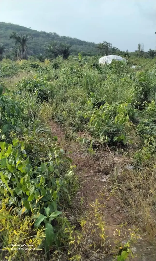 5 Acres of Land at Aburi in Aburi - Land & Plots for Sale, Amazing ...
