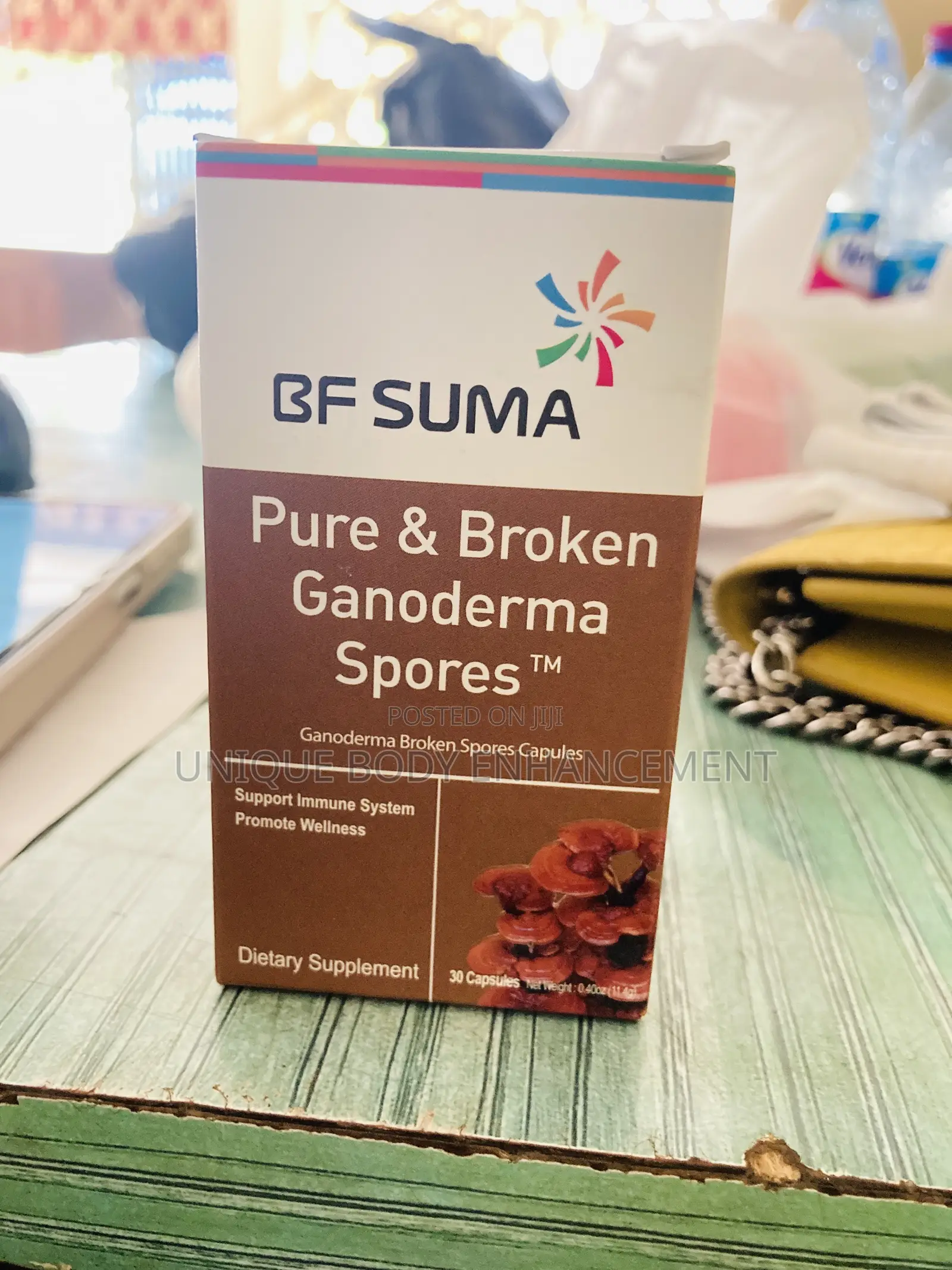 Bf Suma Pure and Broken Ganoderma Spores in Kumasi Metropolitan ...