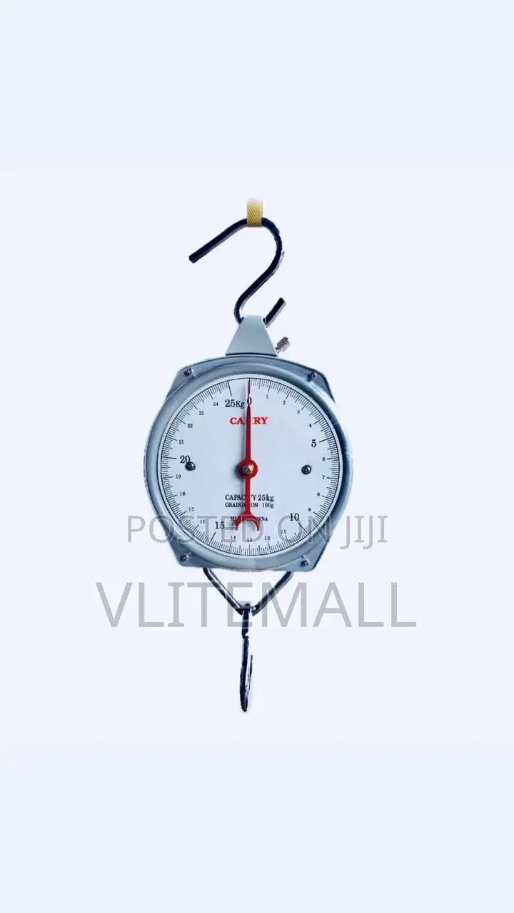 Camry Hanging Scale 100kg in Accra New Town - Kitchen Appliances ...