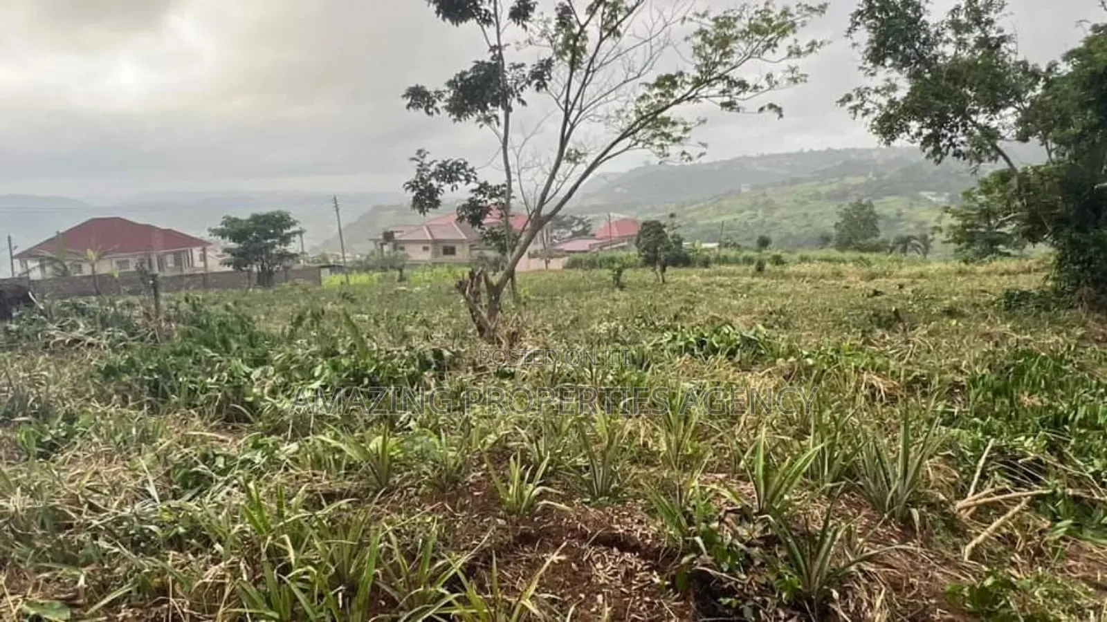 5 Plots of Land at Aburi in Aburi - Land & Plots for Sale, Amazing ...