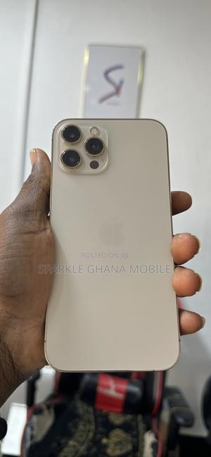 Apple iPhone 12 Pro Max 256 GB Rose Gold in Circle - Mobile Phones ...