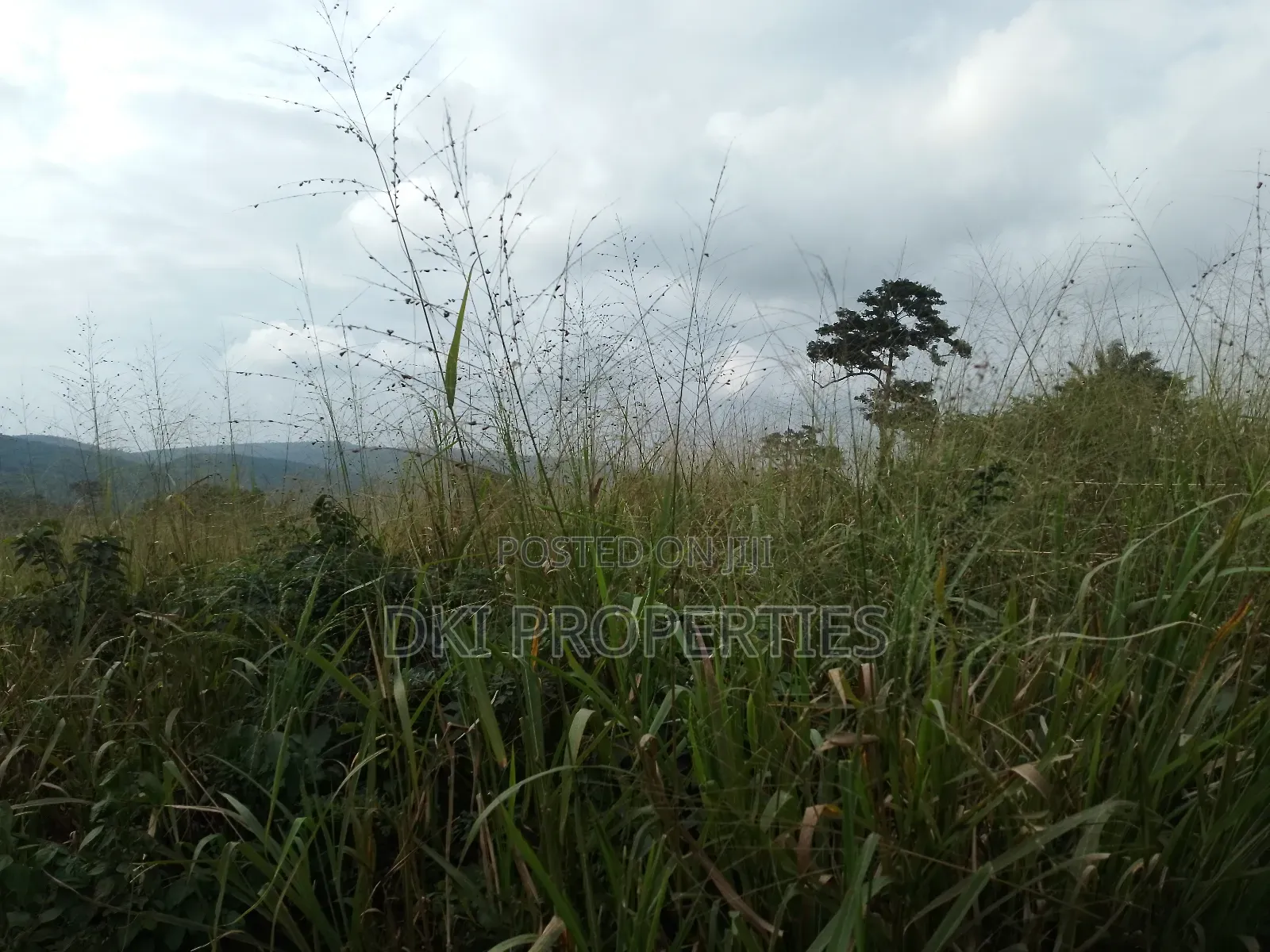 Farm Land for Sale at Apedwa in East Akim Municipal - Land & Plots for ...