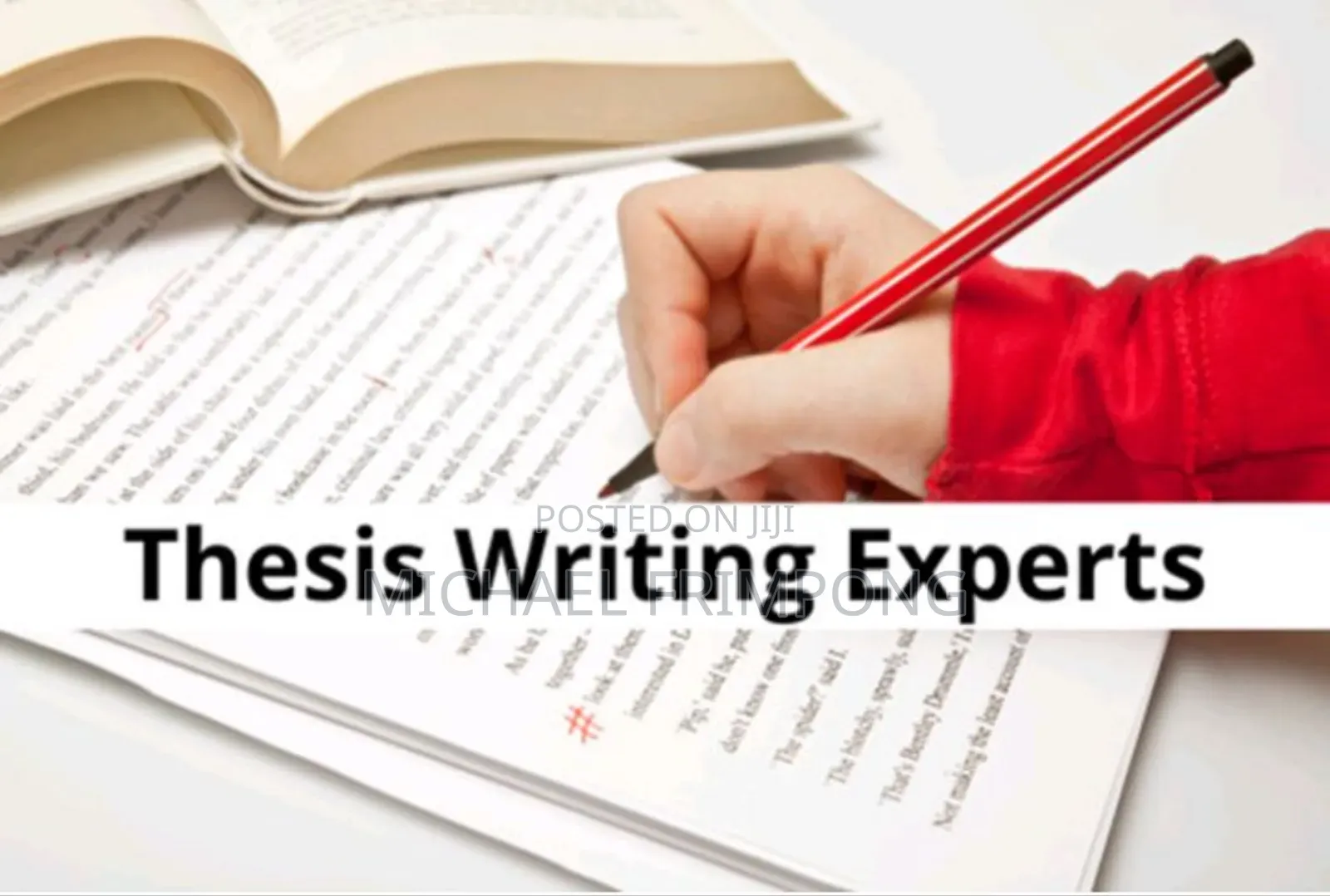 Thesis and Business Proposal Writing Expert in Ridge - Other Services ...