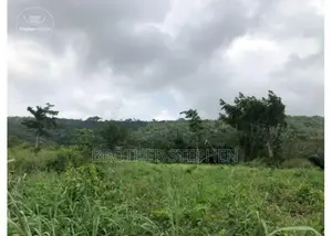 12,000 Acres Of Farmland For Sale At Asamankese. in East Akim Municipal ...