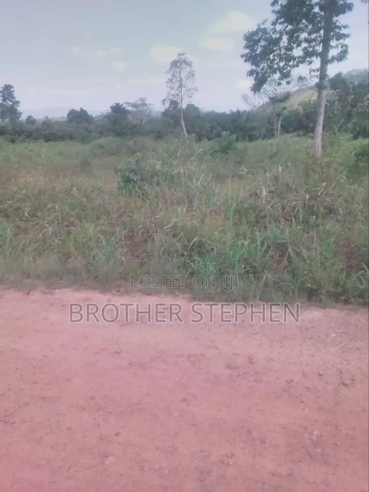 12,000 Acres Of Farmland For Sale At Asamankese. in East Akim Municipal ...