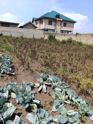 Genuine Plot of Land for Sale at Kasoa Millennium City. PCC in Kasoa ...