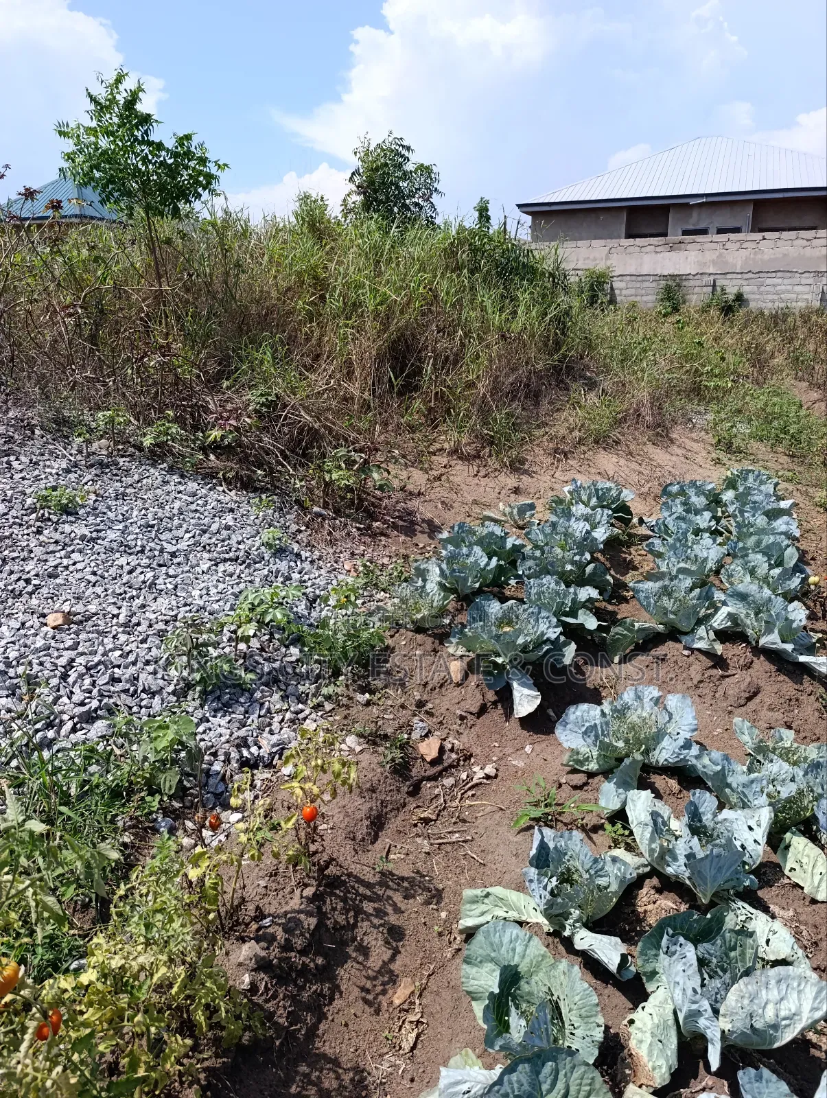 Genuine Plot of Land for Sale at Kasoa Millennium City. PCC in Kasoa ...