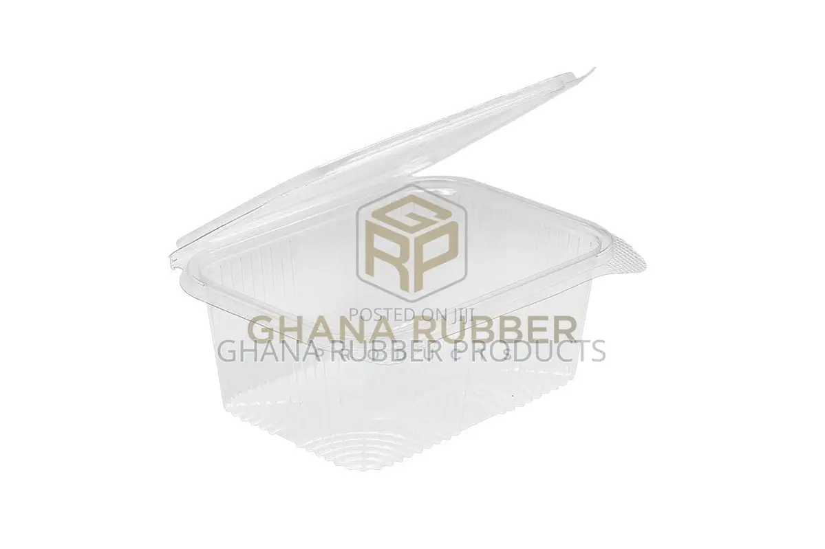 Hinged Containers 1000cc Flat (200pcs) in Kaneshie - Manufacturing ...